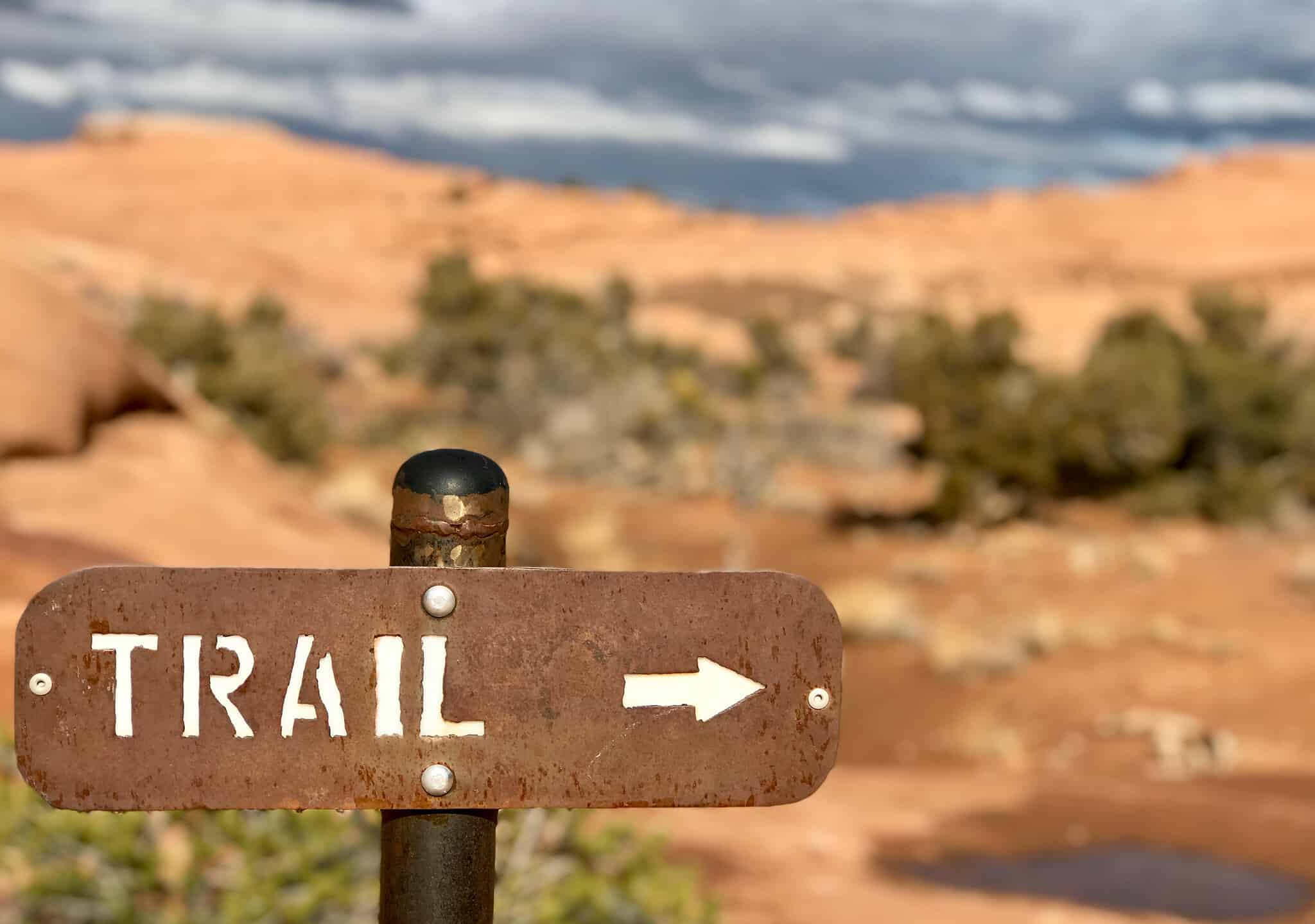 The Most Snake-Infested Lakes in Utah - A-Z Animals