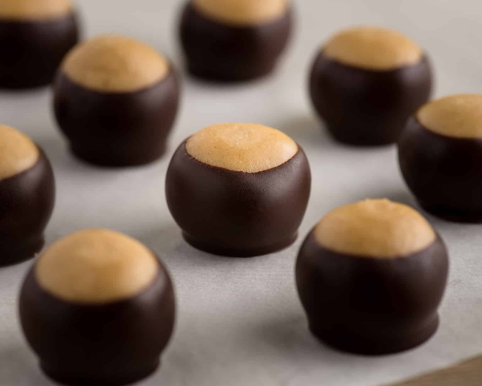 Discover Why Ohio Is Called the Buckeye State - A-Z Animals