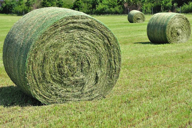 How Much Does a Bale of Hay Weigh? The Answer May Surprise You - A-Z ...