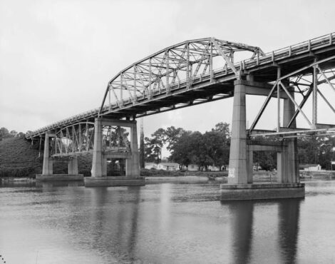 Santee River: Wildlife, Size, Activities, and More - A-Z Animals