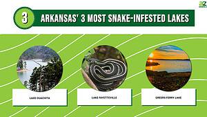 The Most Snake-Infested Lakes in Arkansas - A-Z Animals