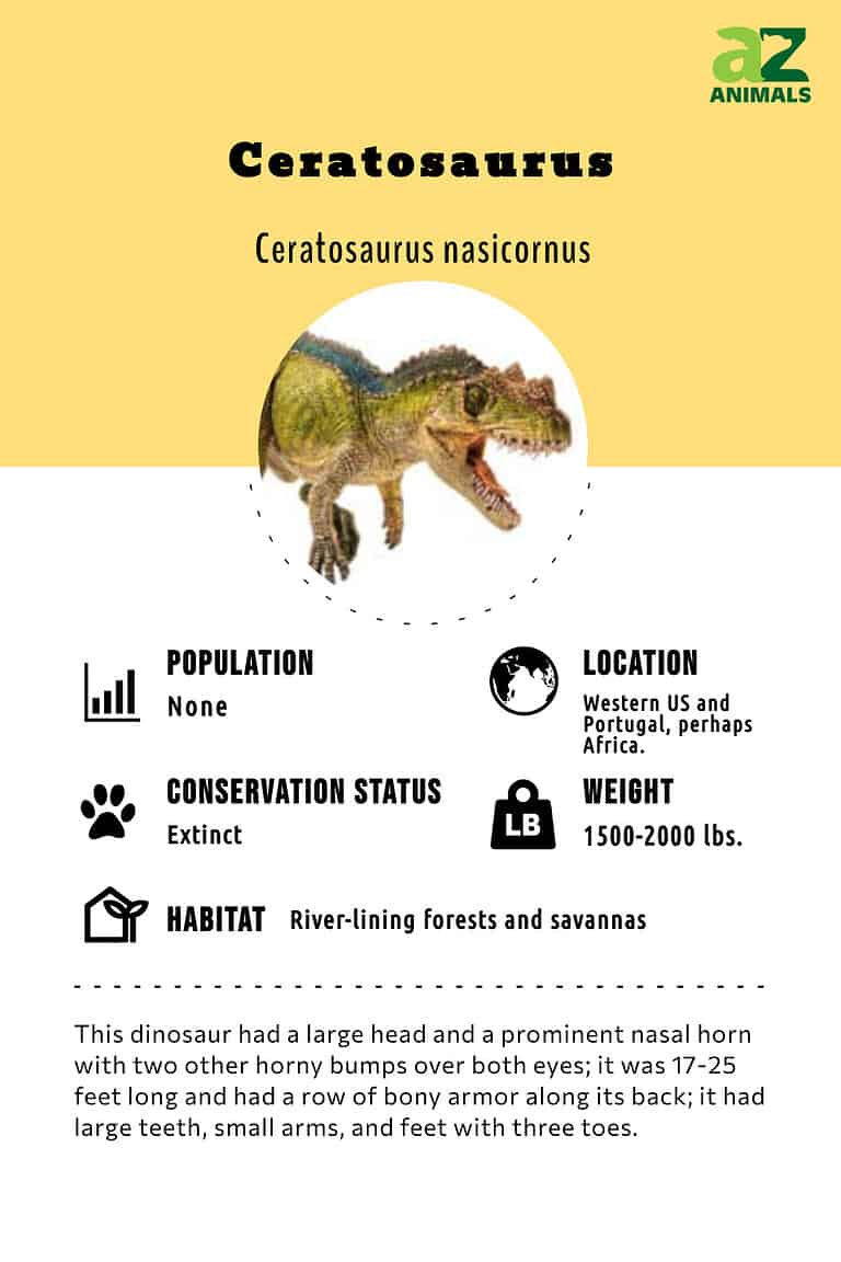 Ceratosaurus Animal Facts - Ceratosaurus nasicornus - A-Z Animals