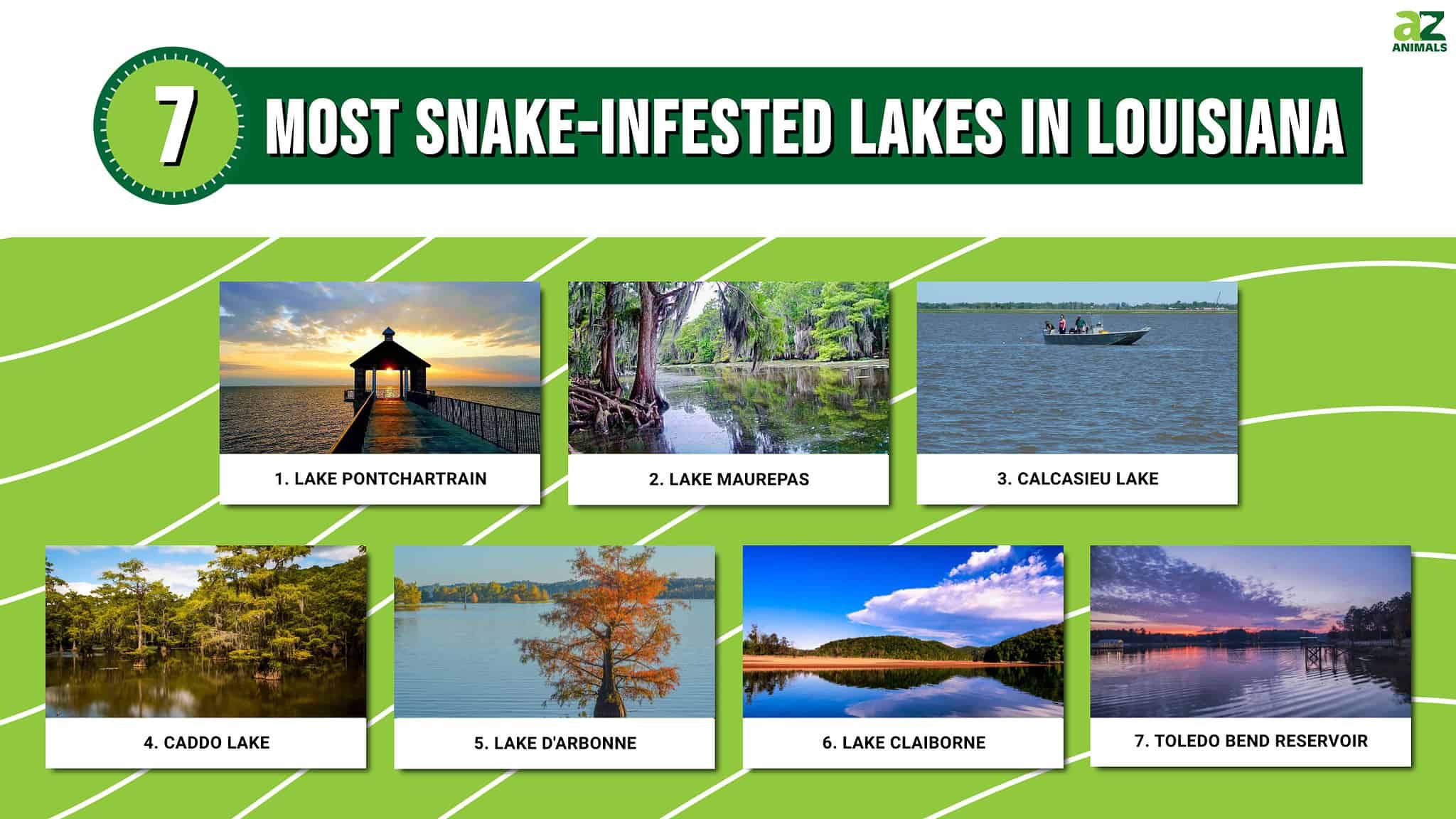 The Most Snake-Infested Lakes in Louisiana - A-Z Animals