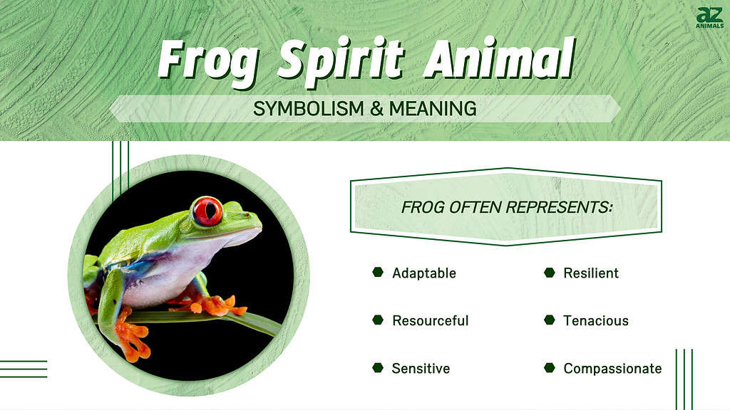 Frog Spirit Animal Symbolism Meaning AZ Animals Frog Spirit Animal Symbolism Meaning AZ Animals