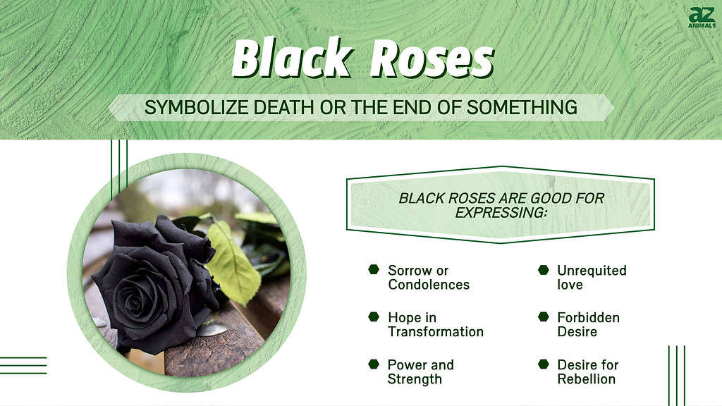 Flowers That Symbolize Death