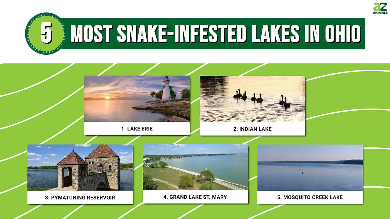 The Most Snake-Infested Lakes In Ohio in 2024 - A-Z Animals