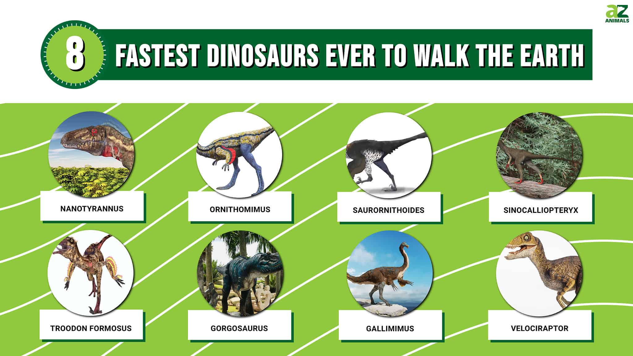 Discover the Top 8 Fastest Dinosaurs Ever to Walk the Earth - A-Z Animals