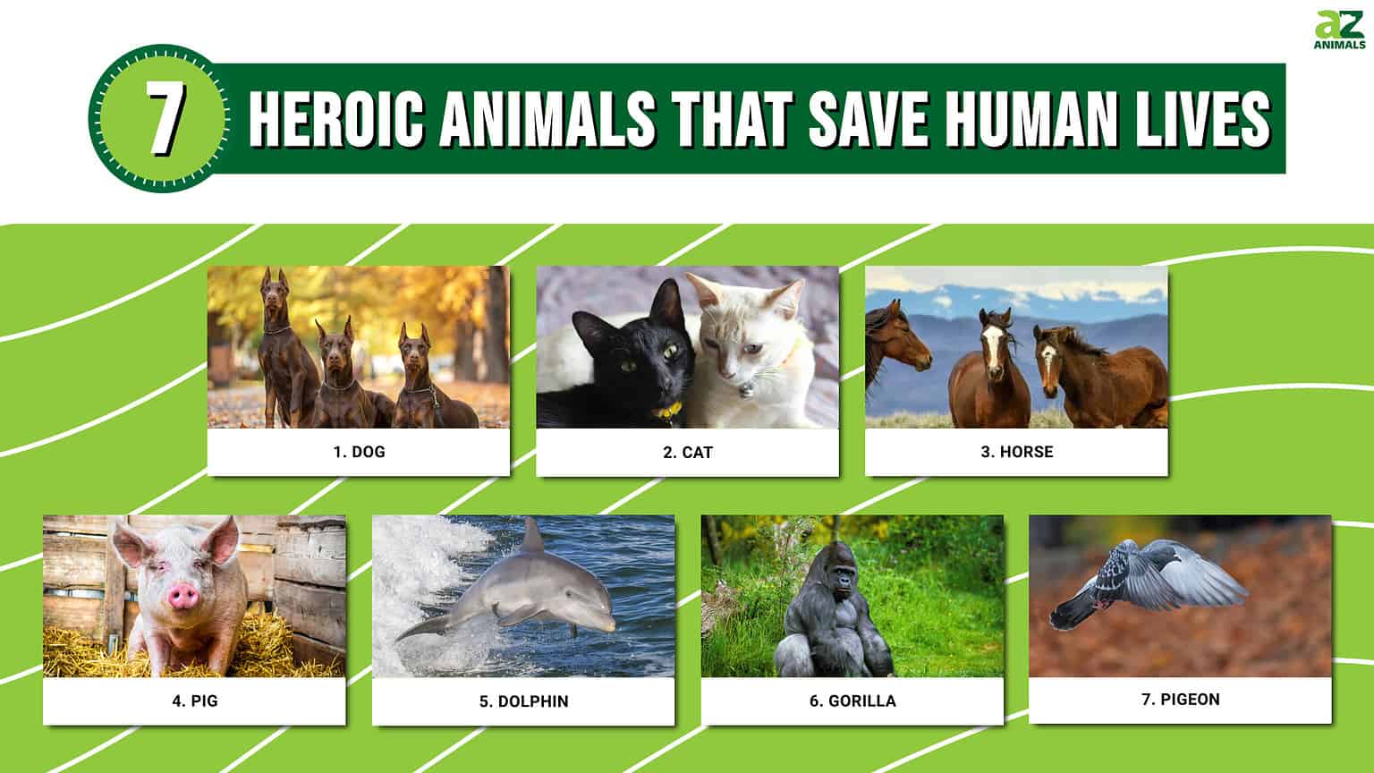 Discover 7 Heroic Animals That Save Human Lives - A-Z Animals