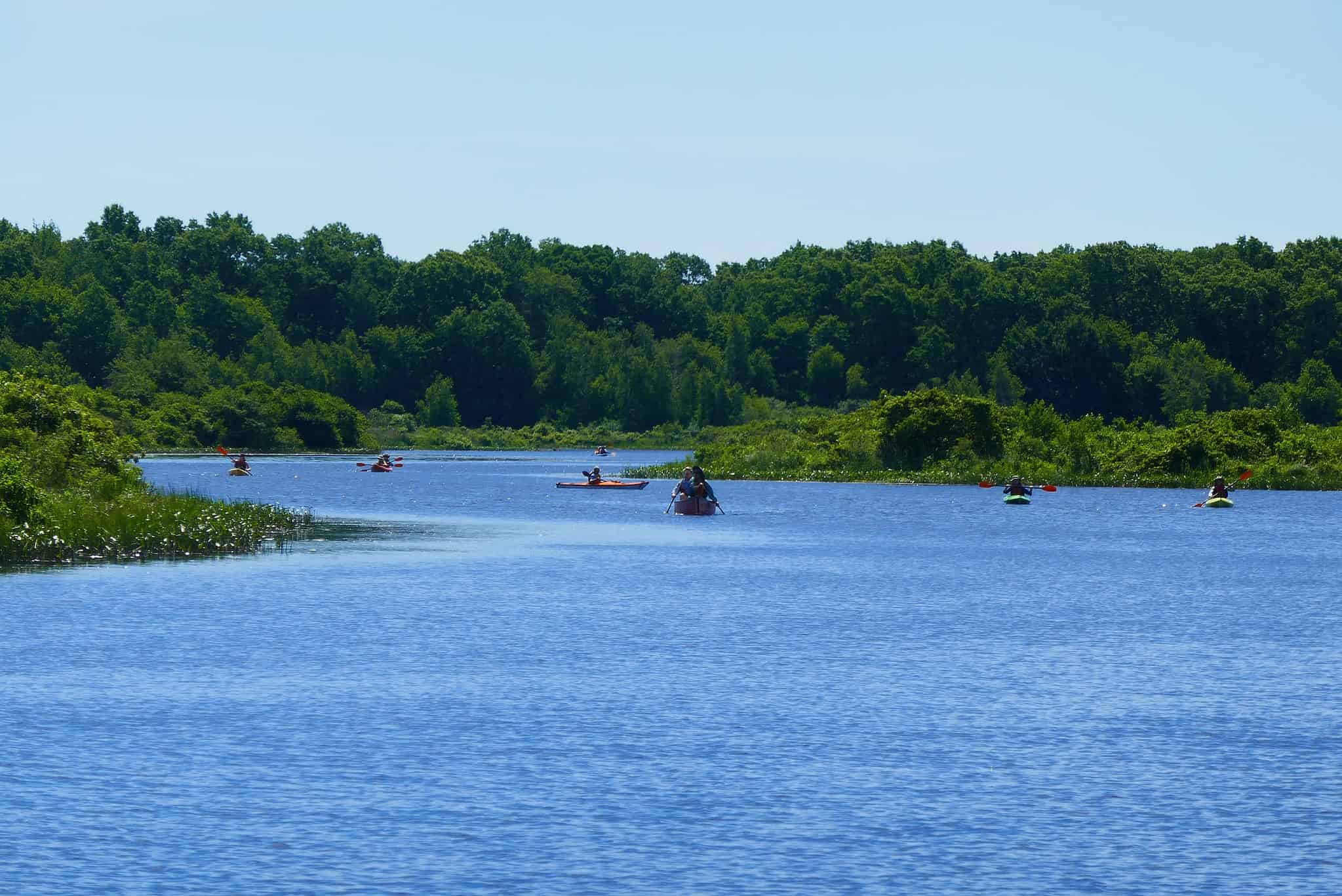 How Deep Is Boston's Charles River? - A-Z Animals