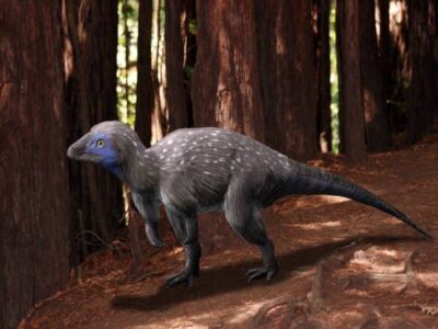 12 Dinosaurs Discovered In The Last 10 Years