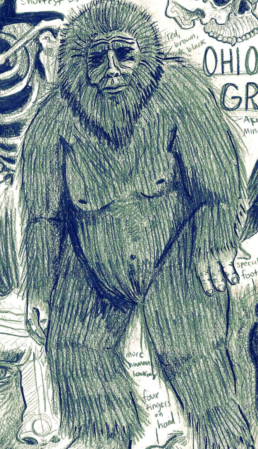 12 Ohio Cryptids: Appearance, Behavior, and Location - A-Z Animals