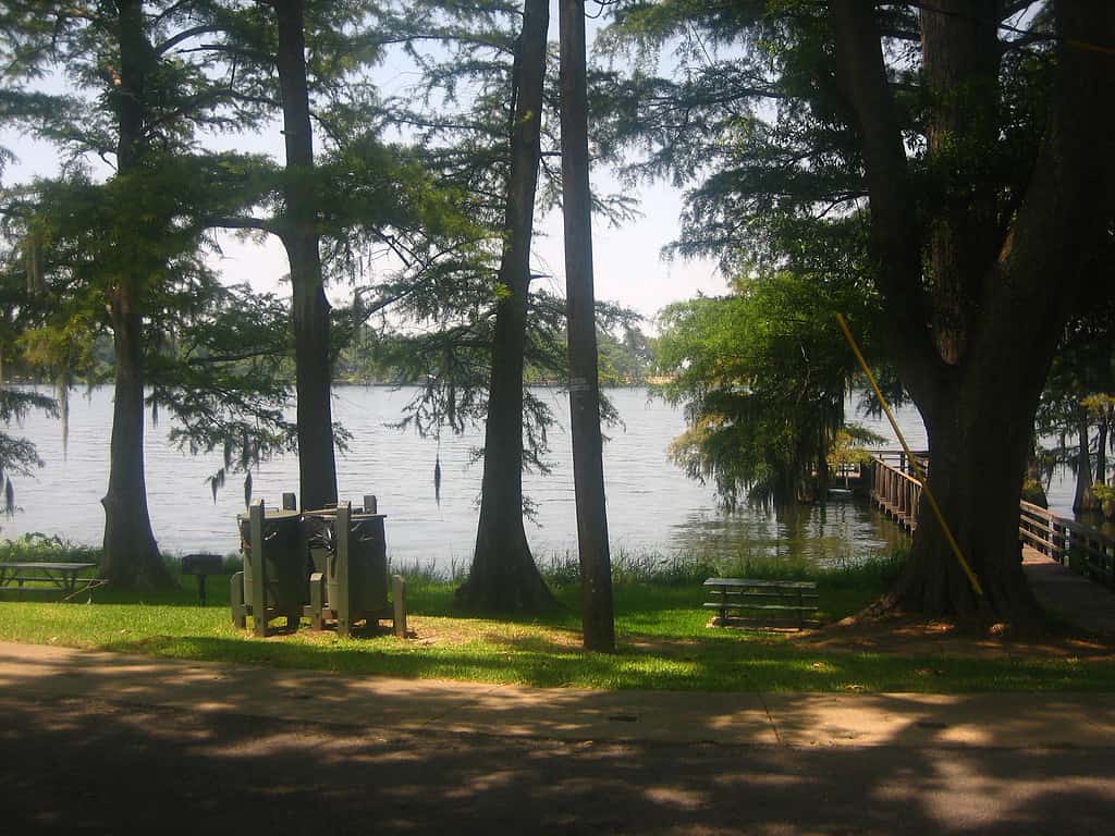 Discover The 7 Cleanest Lakes in Louisiana - A-Z Animals