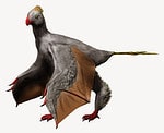 9 Dinosaurs With Feathers - A-Z Animals