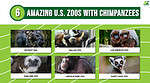 Discover 6 Amazing U.S. Zoos with Chimpanzees (And Other Magical ...