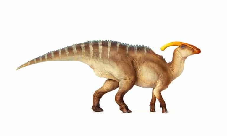 Meet the Parasaurolophus — The Dinosaur With a Crest on Its Head - A-Z ...