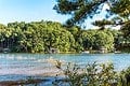 15 Animals You'll Find Lurking in Lake Lanier - A-Z Animals