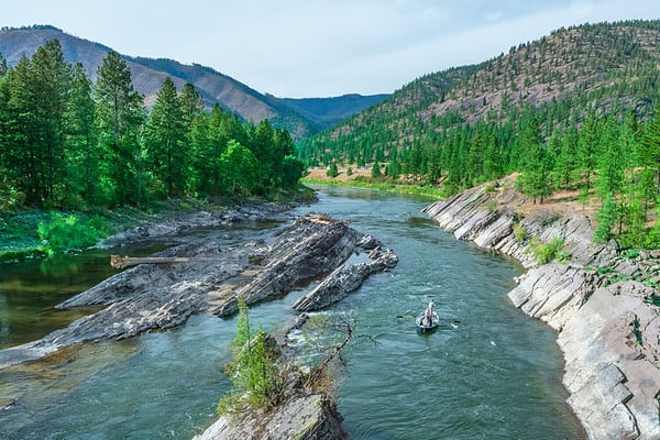 What's in the Clark Fork River and Is It Safe to Swim In? - A-Z Animals