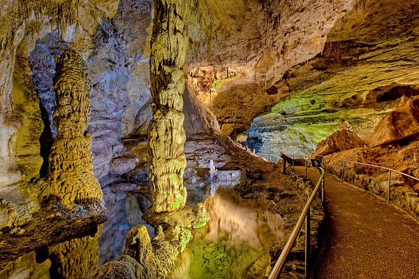 Discover Carlsbad Caverns (and What Lives and Lurks Inside These ...