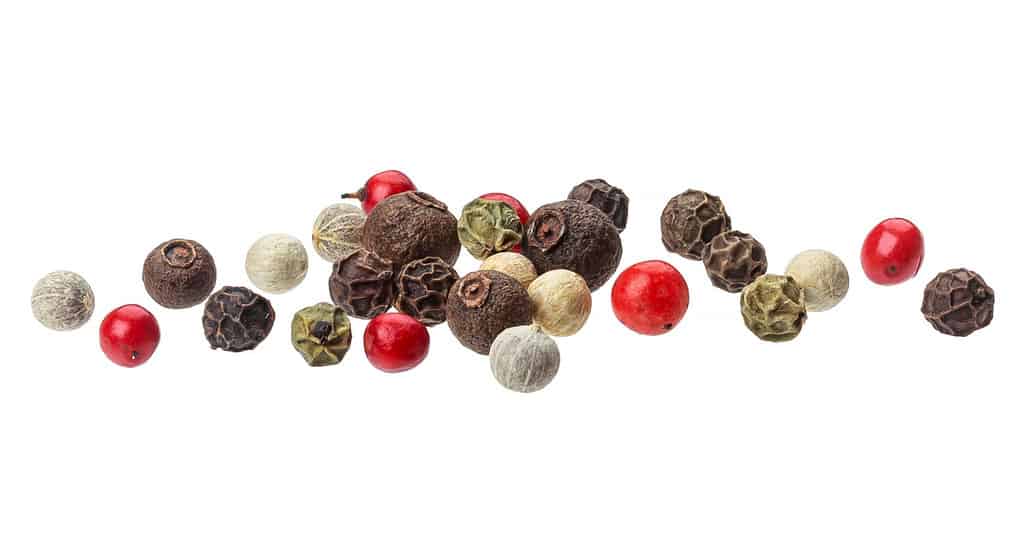 The 15 Spices Thailand is Known For - A-Z Animals