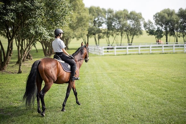 Meet the 5 Biggest Long-Shot Horses to Ever Win the Belmont Stakes - A ...