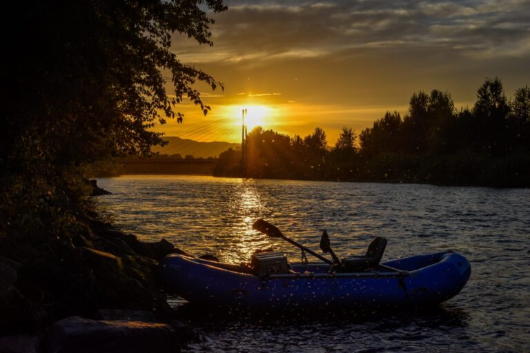 What's in the Clark Fork River and Is It Safe to Swim In? - A-Z Animals
