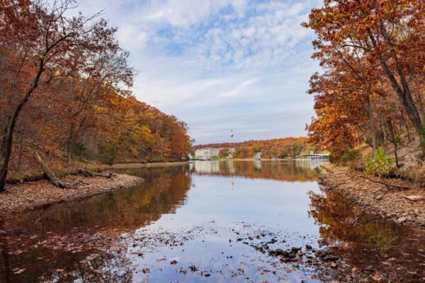 The 5 Most Snake-Infested Rivers in Missouri