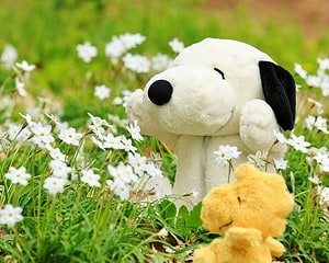Snoopy's Birthday: August 10 and 15 Fun Ways to Celebrate the Famous ...