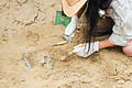 The 10 Oldest Human Fossils Ever Found - A-Z Animals