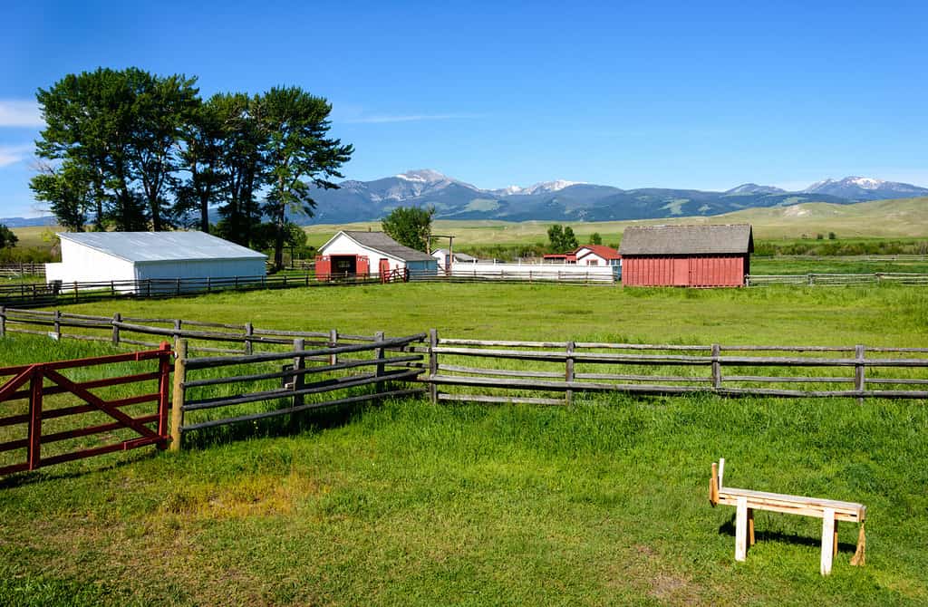 What's in the Clark Fork River and Is It Safe to Swim In? - A-Z Animals