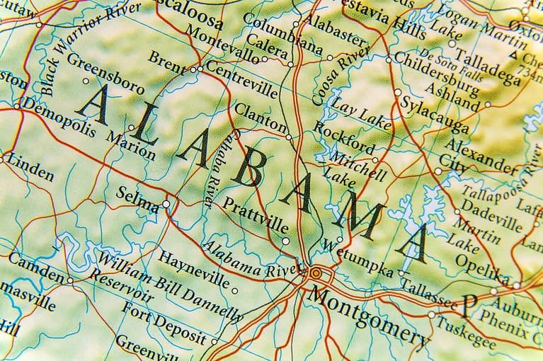 10 Annoying Insects in Alabama That Are Looking to Bite