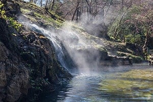 Things You’ll See in Hot Springs National Park: Wildlife Guide - A-Z ...