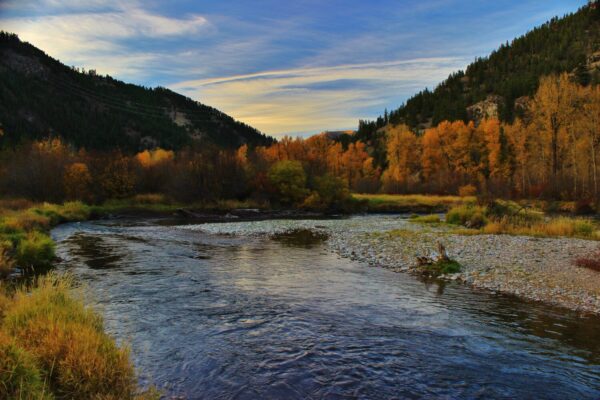 What's in the Clark Fork River and Is It Safe to Swim In? - A-Z Animals