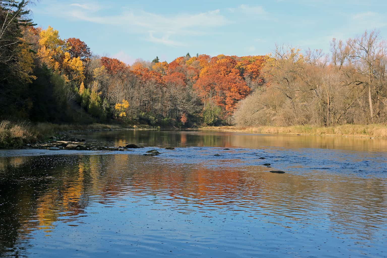 Discover the 10 Most Snake-Infested Rivers in Canada - A-Z Animals