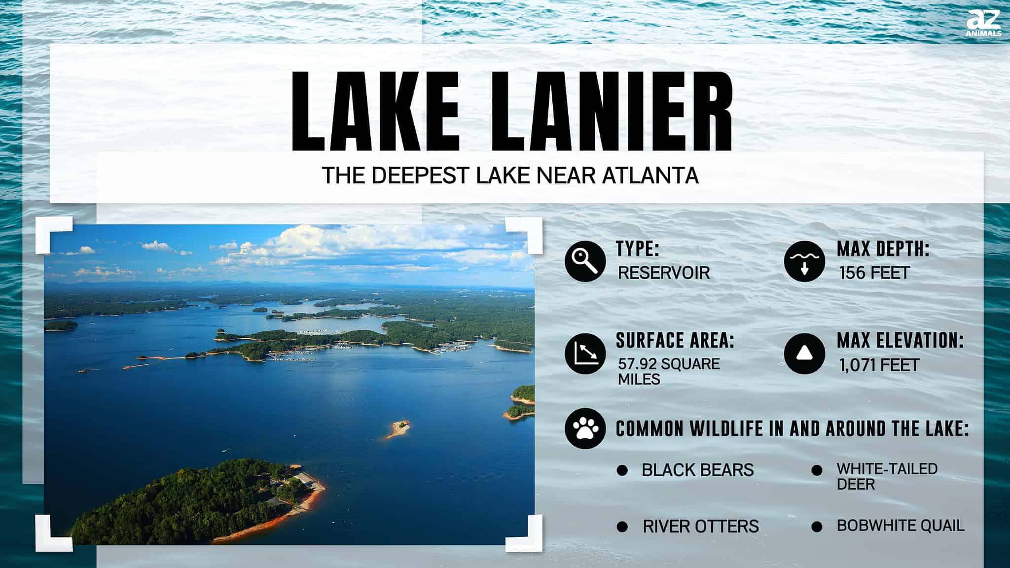 Discover the Deepest Lake Near Atlanta - A-Z Animals