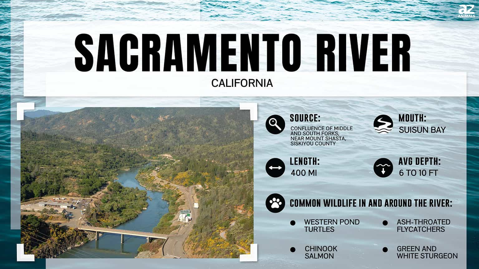 How Deep Is the Sacramento River? - A-Z Animals