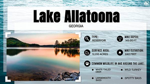 How Wide Is Georgia's Lake Allatoona? - A-Z Animals