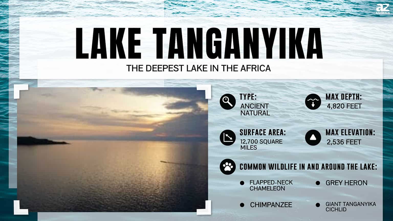 Discover the Deepest Lake in Africa - A-Z Animals