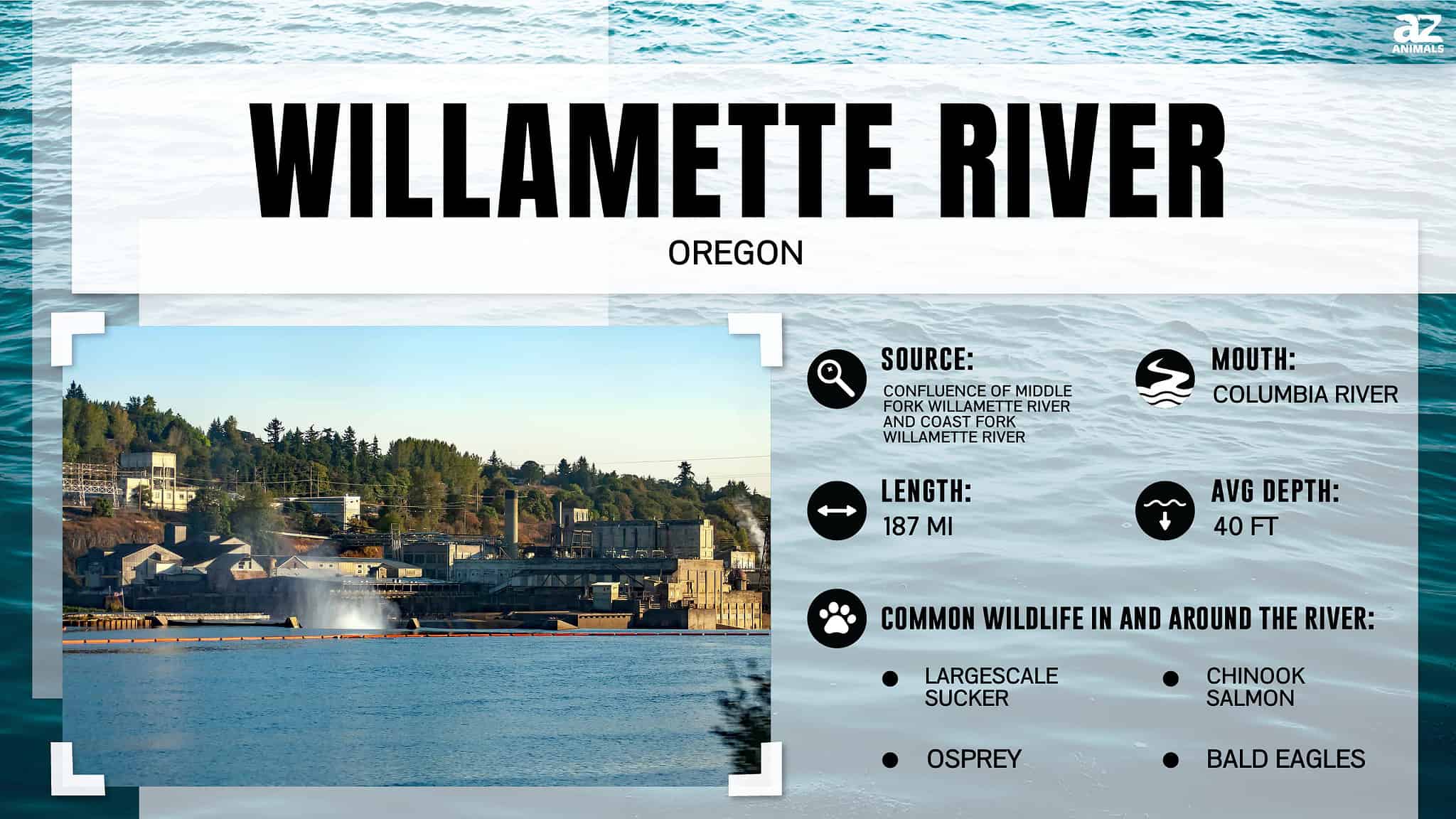 How Long Is Oregon's Legendary Willamette River From Start to End? - A ...