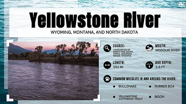 Where Does the Yellowstone River Start and End? - A-Z Animals
