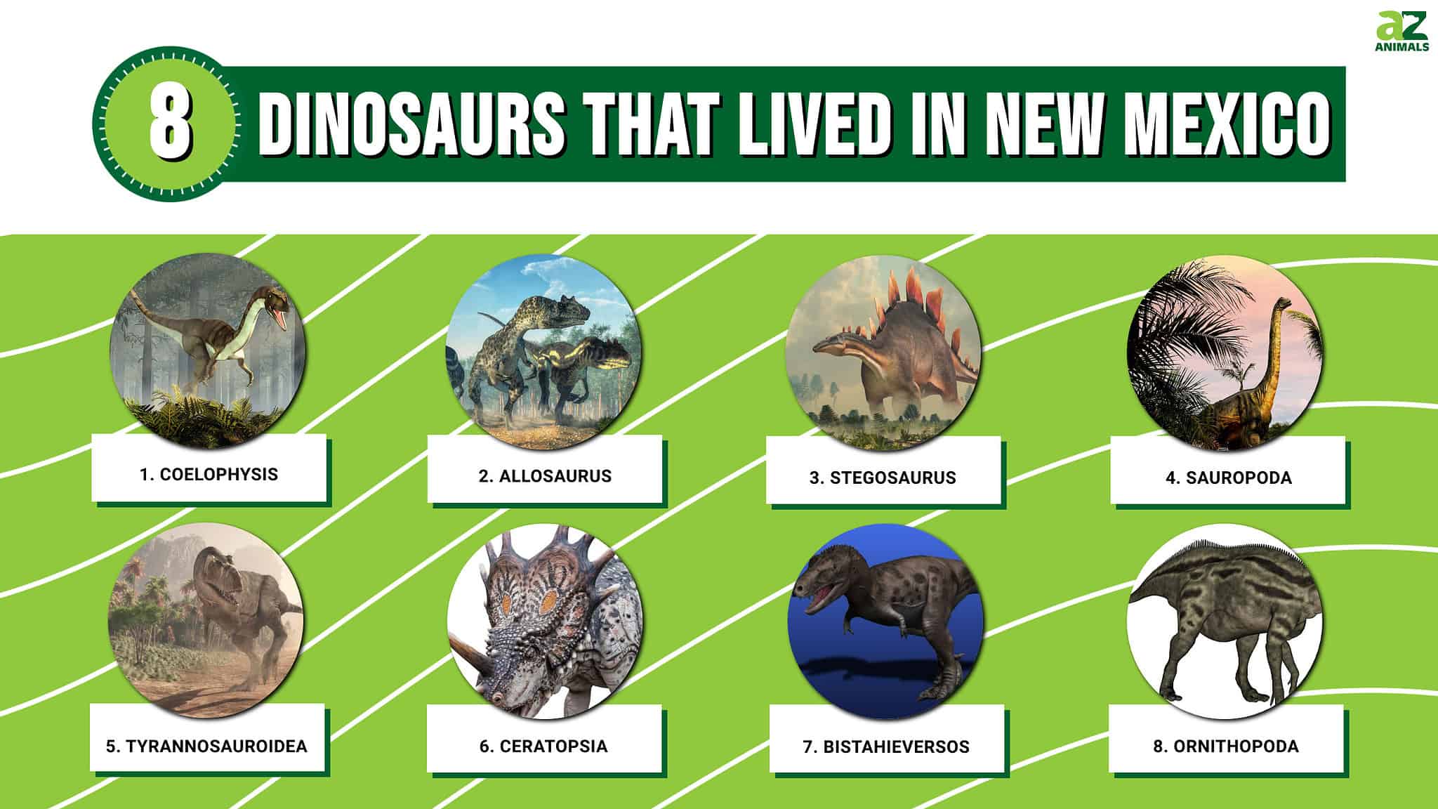 8 Dinosaurs that Lived in New Mexico (And Where to See Fossils Today ...