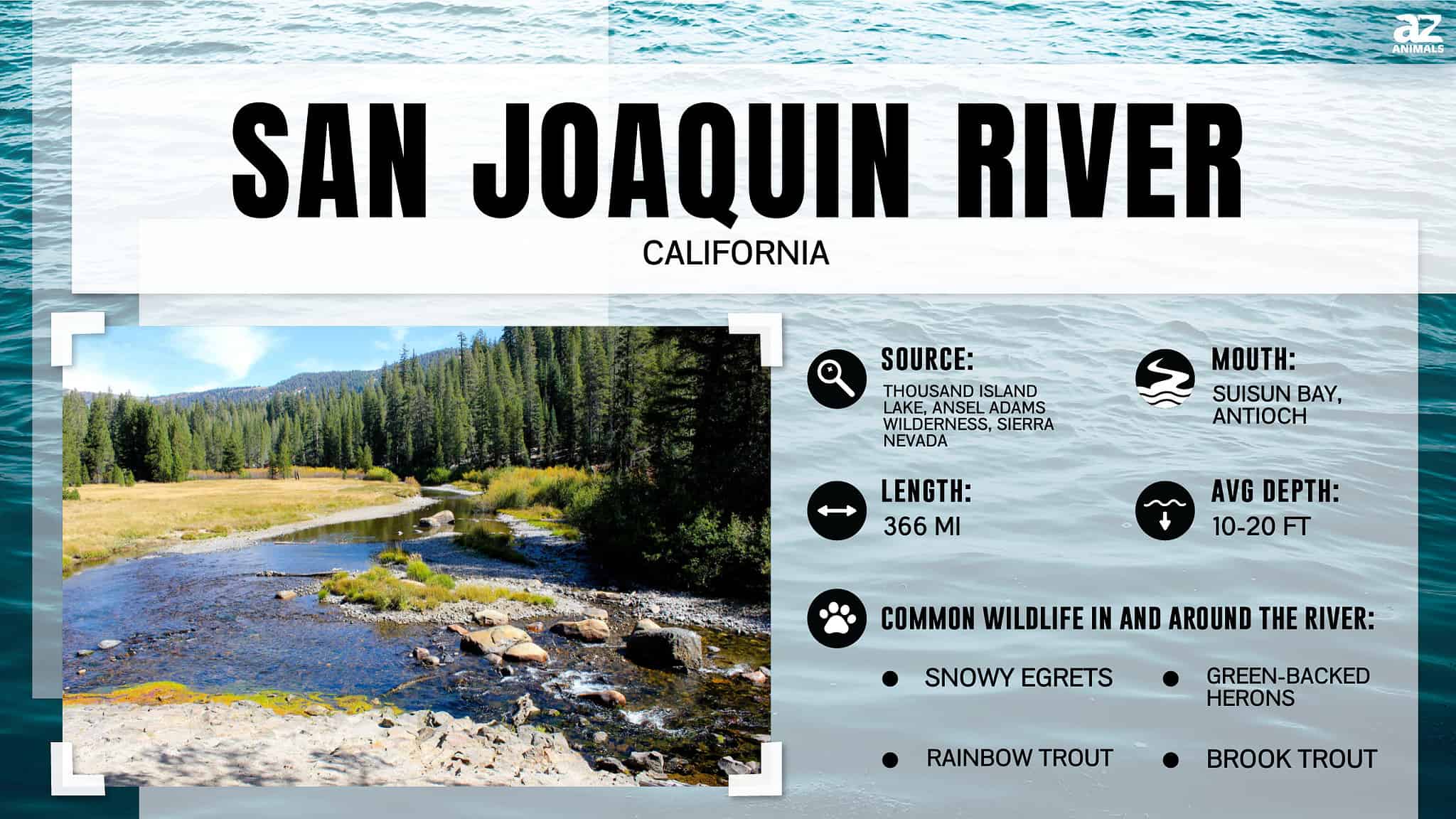 How Deep Is the San Joaquin River? - A-Z Animals