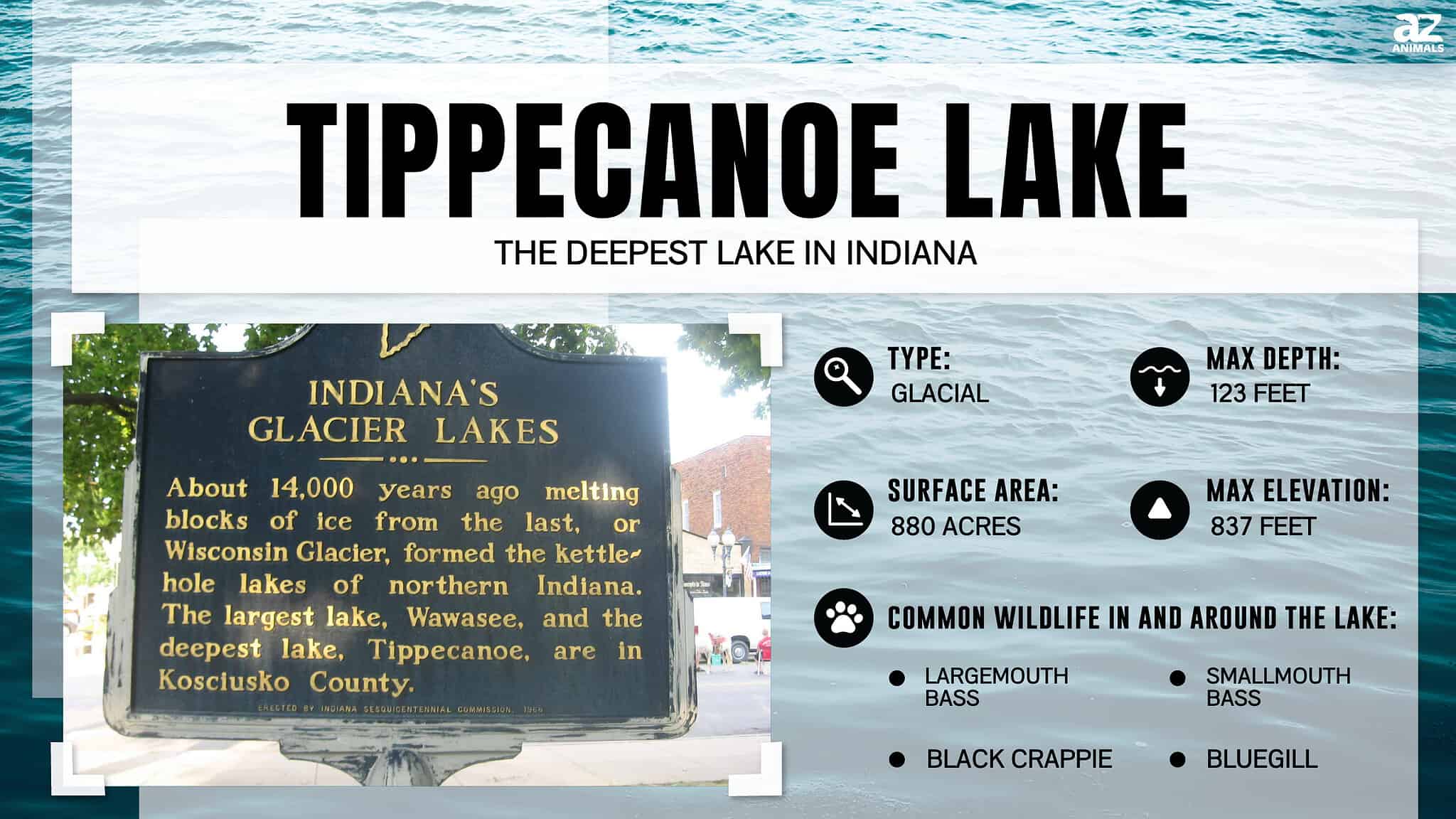 Discover the Deepest Lake in Indiana - A-Z Animals