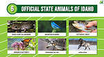 Discover the 6 Official State Animals of Idaho - A-Z Animals