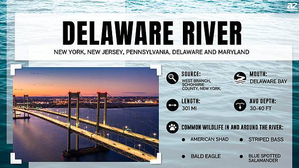 How Wide is the Delaware River at Its Widest Point? - A-Z Animals