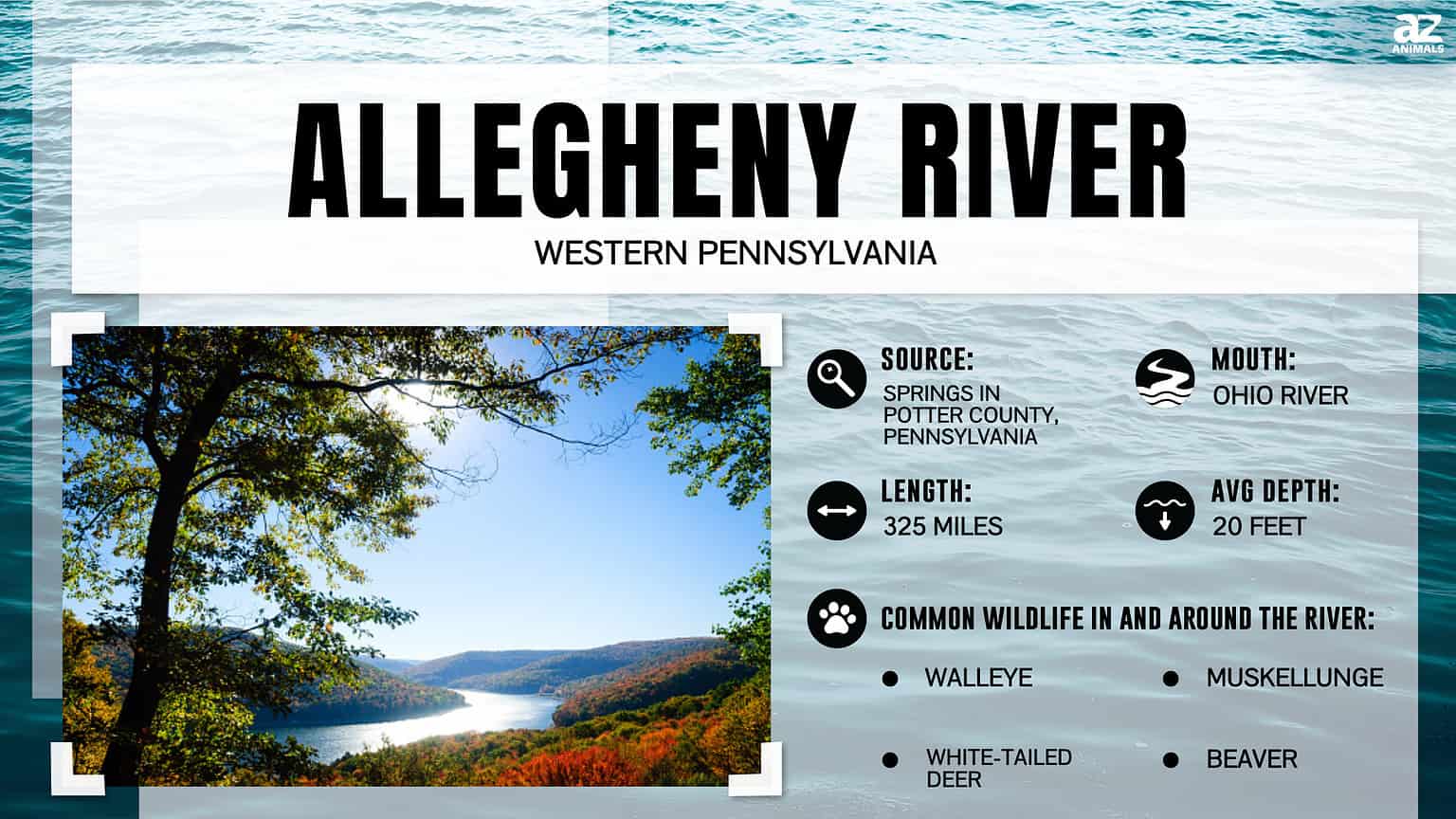 How Deep Is the Allegheny River Running Through Pittsburgh? - A-Z Animals