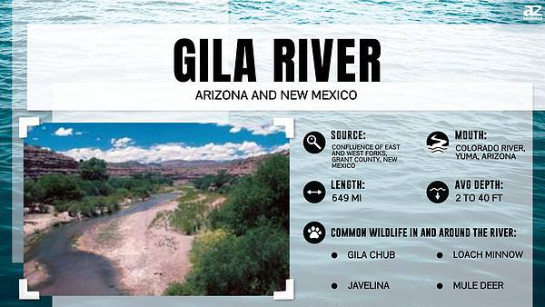 How Long Is the Gila River From Start to End? - A-Z Animals