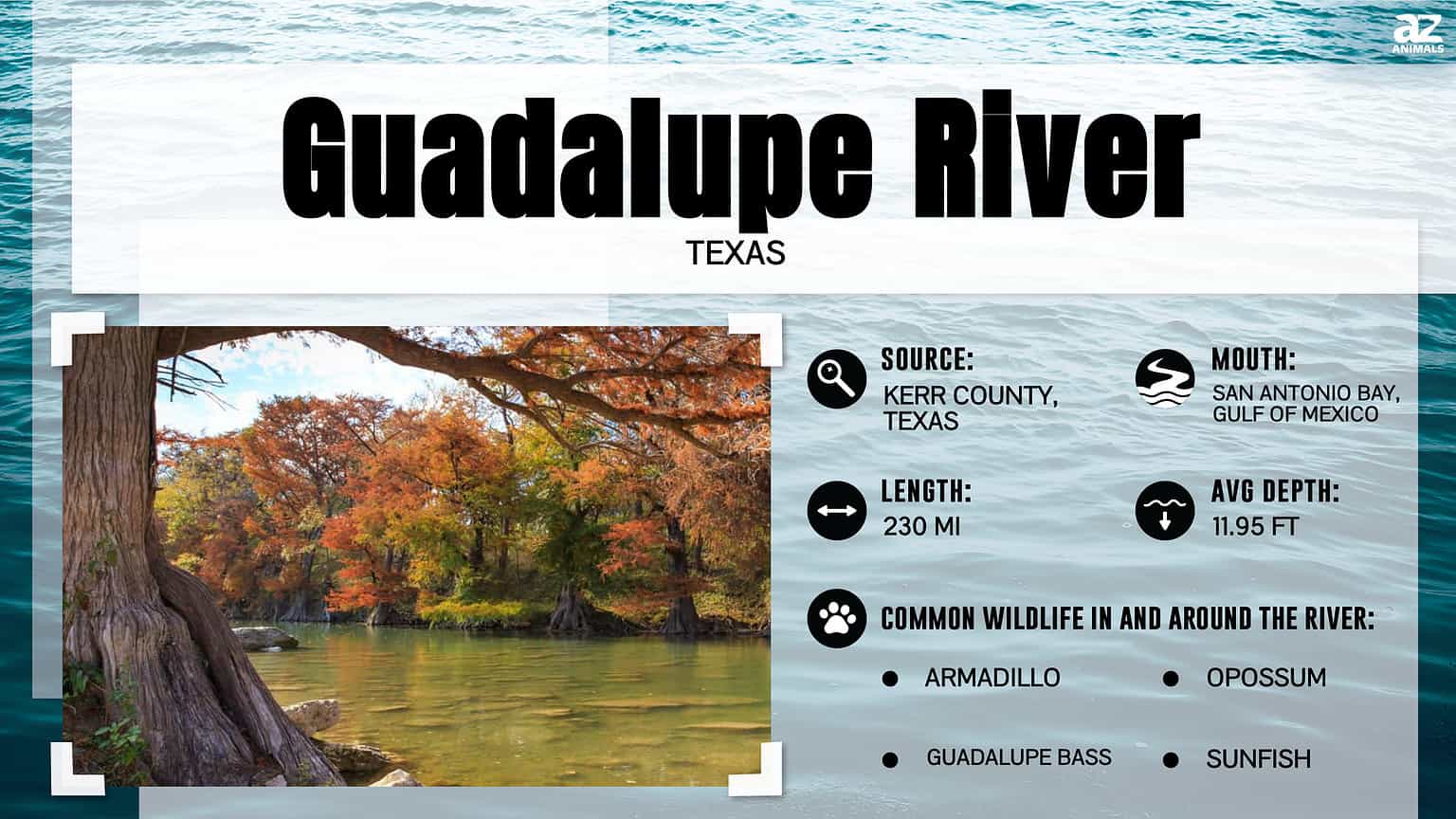 How Deep Is the Guadalupe River? - A-Z Animals