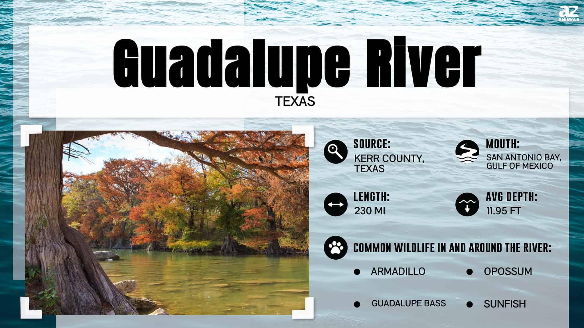 How Deep Is the Guadalupe River? - A-Z Animals