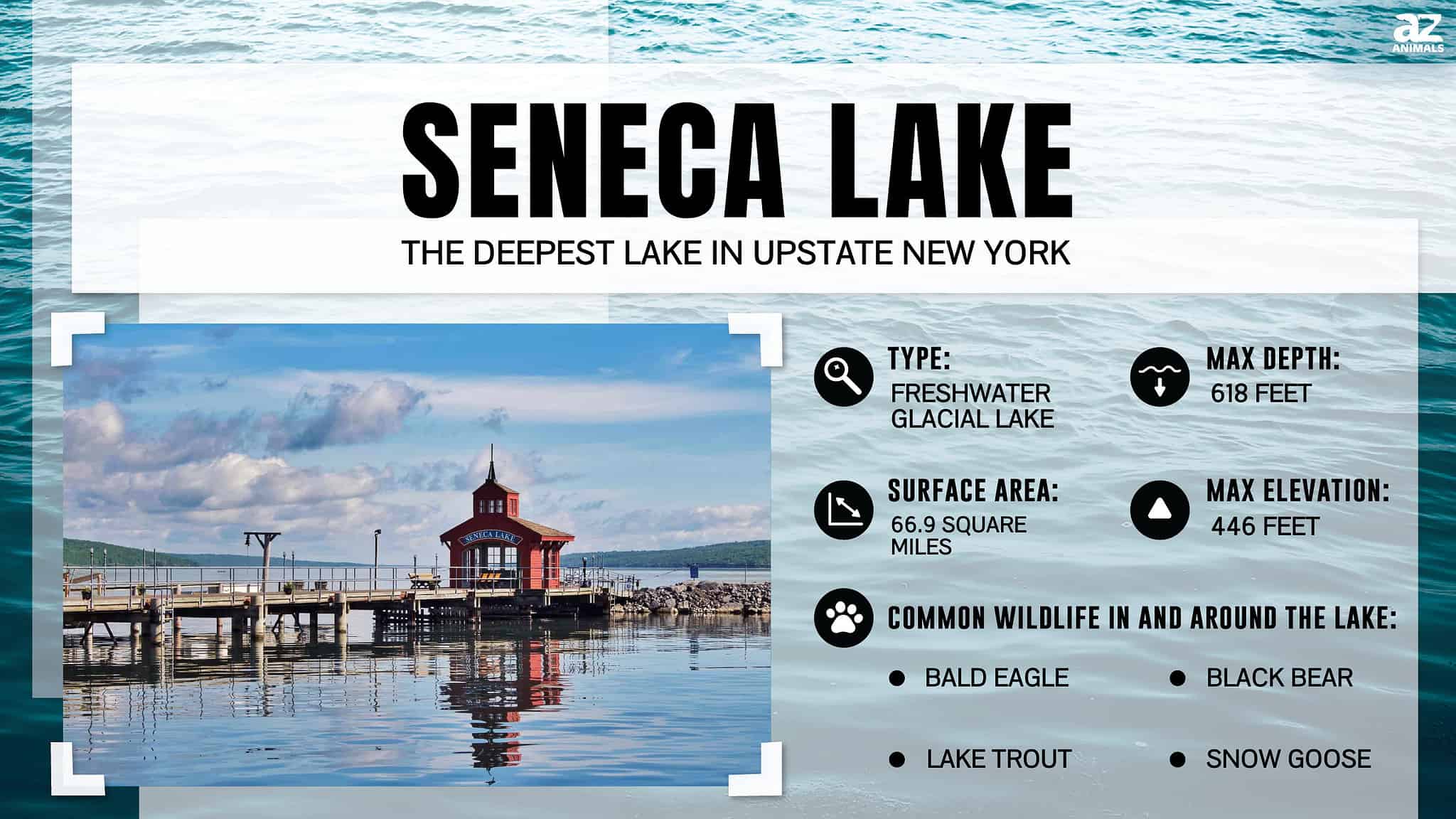 Discover the Deepest Lake in Upstate New York - A-Z Animals
