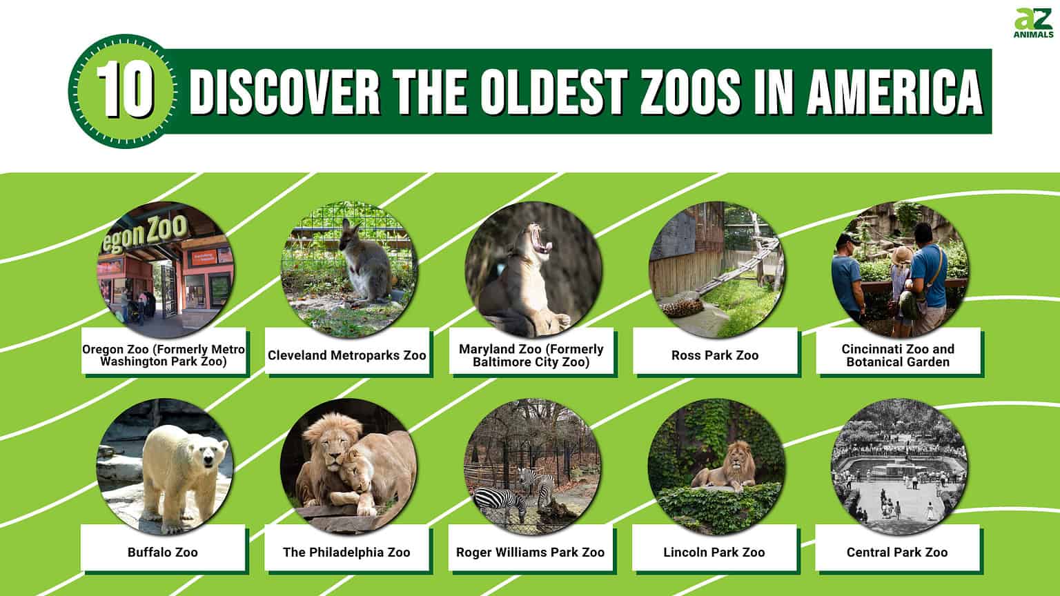 Discover the Oldest Zoos in America - A-Z Animals